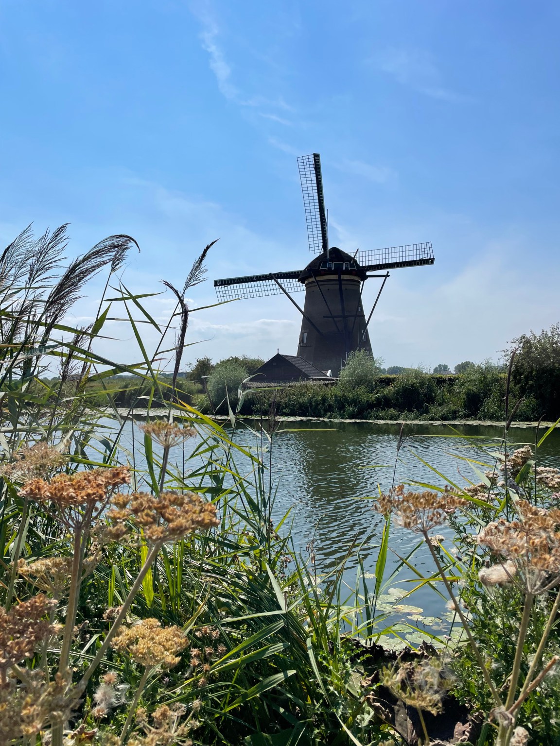 Come raggiungere i Mulini a vento di Kinderdijk, Patrimonio UNESCO ...